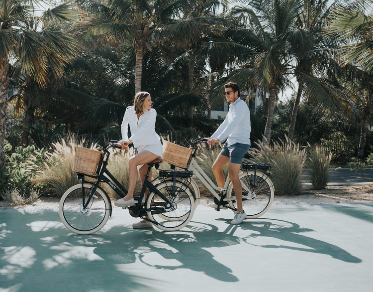 Dutch Design Bike Shop In Dubai - The Adam Store