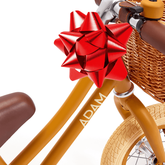 The Adam Scooter – The Adam Store